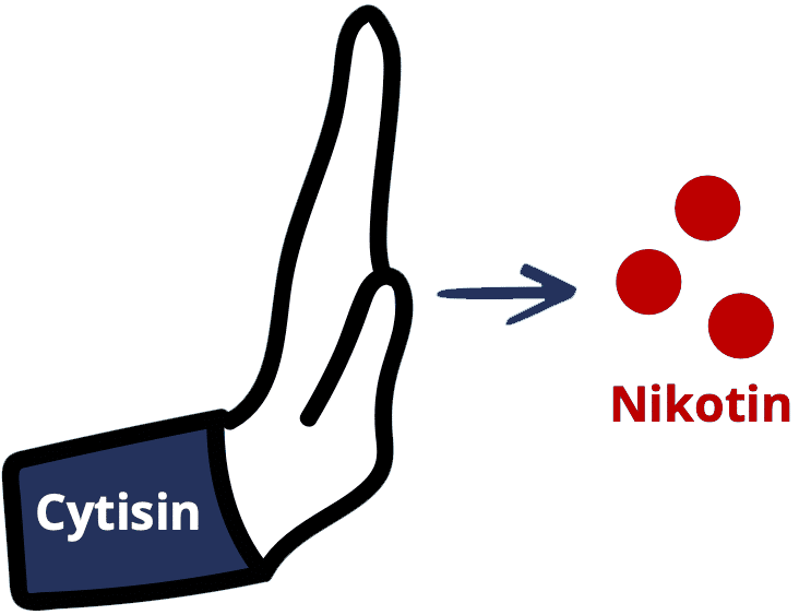Aufhören zu rauchen mit Asmoken in 25 Tagen